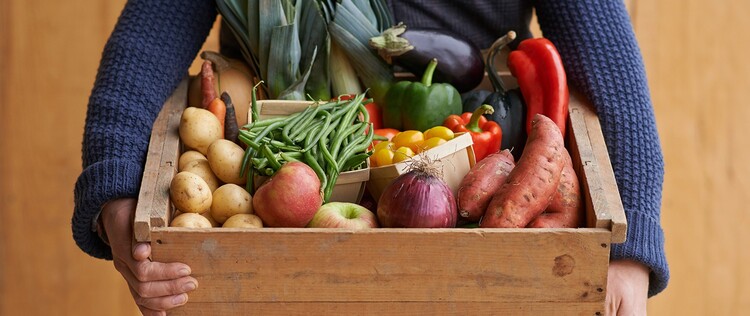 Onboarding newcomers – IT recruitment – Tips for HR – Indigo